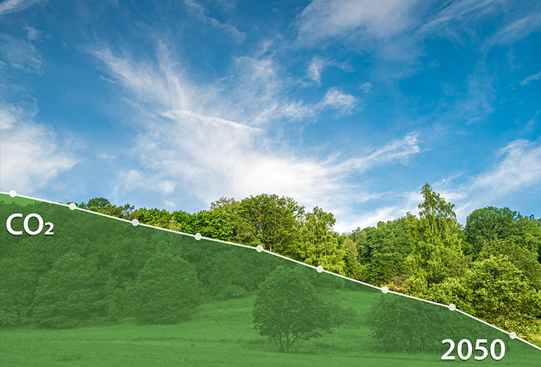 Net Zero: a great challenge for everyone - Sofidel